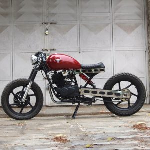 5 beautifully MODIFIED Bajaj Pulsar motorcycles - Aanavandi Travel Blog