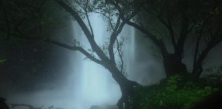The most gorgeous waterfalls in Goa - Aanavandi Travel Blog