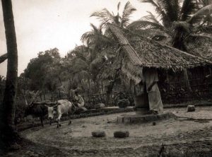 Nostalgic memories; Old Photos from Malabar, Kerala - Aanavandi Travel Blog