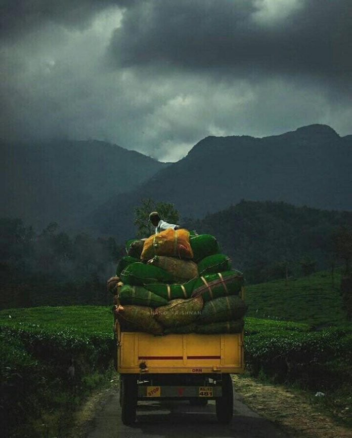 25 Amazing Photos from Wayanad, Forest Heaven of Kerala - Aanavandi ...